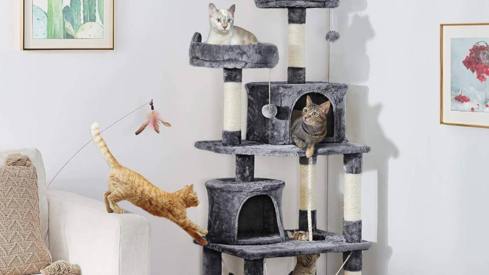 Best Cat Trees of 2025. Top Picks for Every Kitty | American Paws Club
