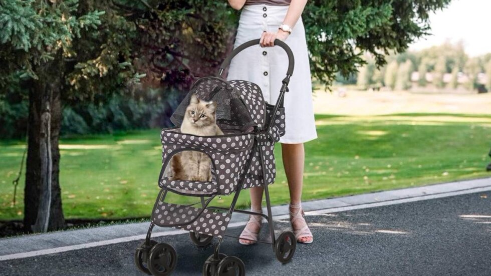 The Best Cat Strollers for Everyday Use | American Paws Club